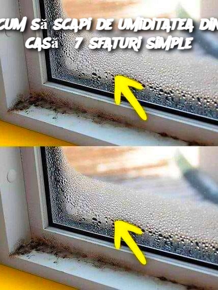 Cum să scapi de umiditatea din casă? 7 sfaturi simple – Best Recipes